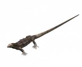 3ds max gratuitas modelo de lagarto monitor - CADblocksfree | Thousands ...