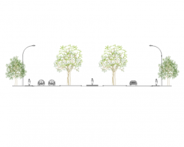 Road cross section CAD dwg - CADblocksfree | Thousands of free CAD blocks