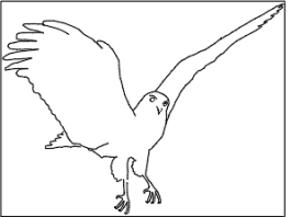 bird dwg | Thousands of free AutoCAD drawings