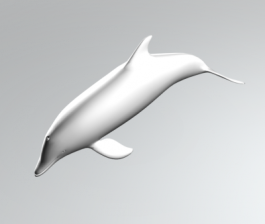 3D Max Block Dolphin - CADBlocksfree | Thousands of free CAD blocks