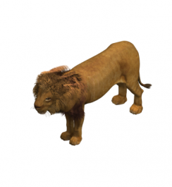 3DS Max Model of a Lion - CADBlocksfree | Thousands of free CAD blocks