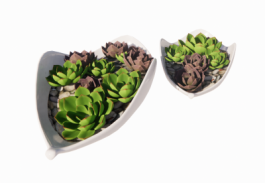 succulent bowl revit family | Thousands of free AutoCAD drawings