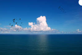 View of a ocean .png texture | Thousands of free CAD blocks