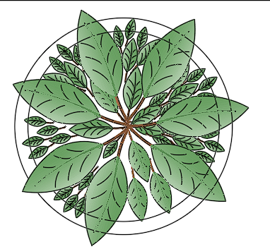 Hatch Plants In Plan dwg | Thousands of free AutoCAD drawings