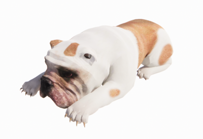 Pull dog revit family | Thousands of free AutoCAD drawings