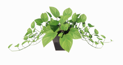 creeper pot revit family | Thousands of free AutoCAD drawings