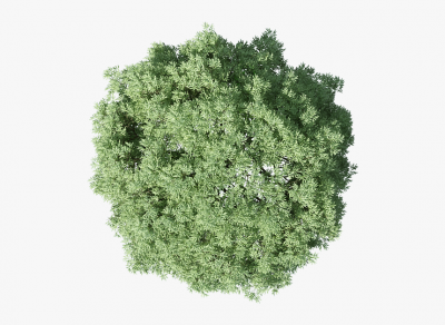 -trees-plan- dwg. | Thousands of free CAD blocks