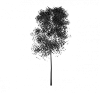 Trees 3ds max models - CADblocksfree | Thousands of free CAD blocks