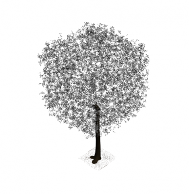 Tree 3DS Maxモデル | Thousands of free CAD blocks