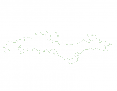 Hedge plan view DWG block | Thousands of free CAD blocks