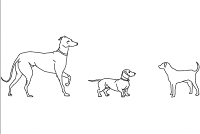 dog dwg | Thousands of free CAD blocks