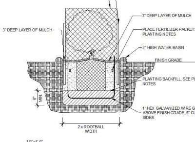 Shrub protection CAD detail download - cadblocksfree | Thousands of ...