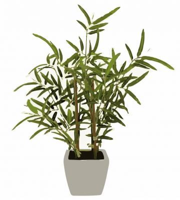 bamboo plant dwg drawing | Thousands of free CAD blocks