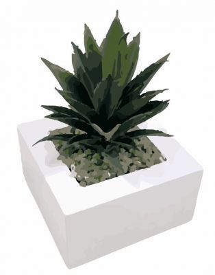 dibujo de dwg de cactus en maceta | Thousands of free AutoCAD drawings